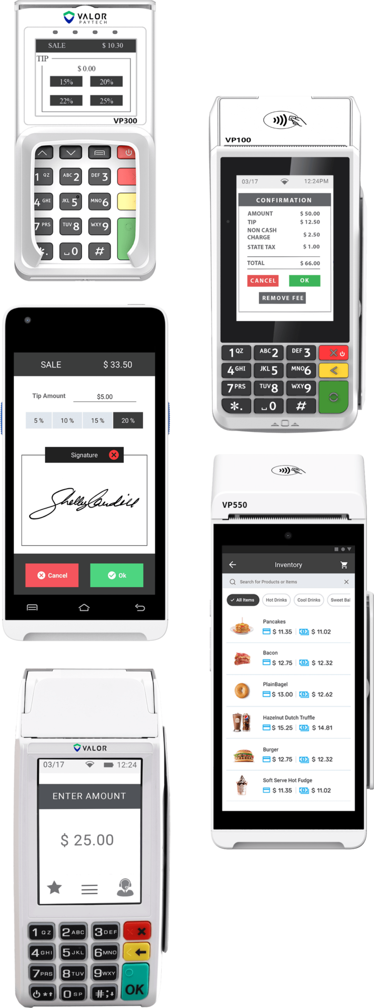 Unified Payment Solutions for ISOs & ISVs | Valor PayTech
